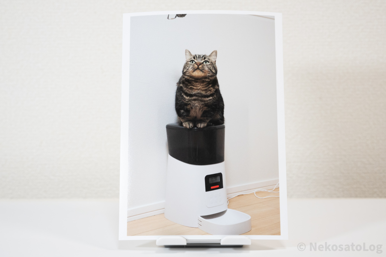 コンパクトは正義！コンパクトカメラで写真ライフが幸せになれた5つの理由 | NekosatoLog