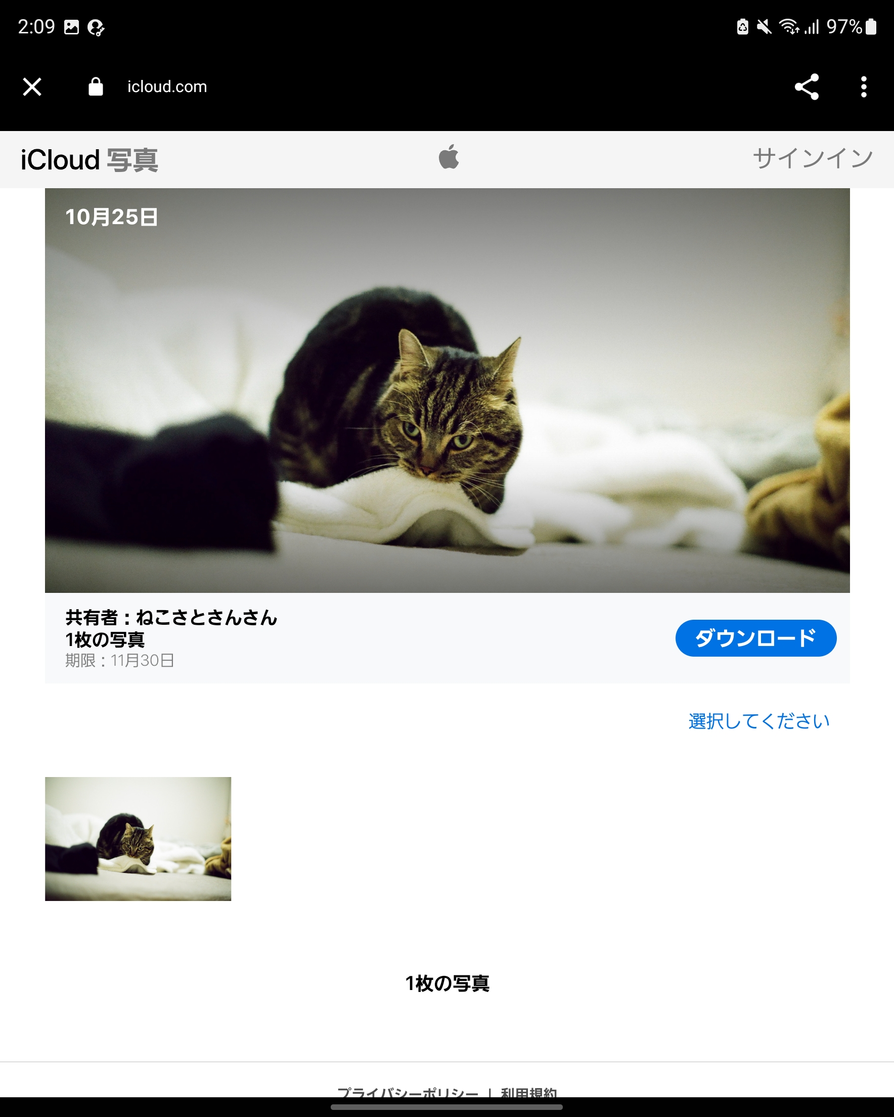 画像として保存したQRコードを写真アプリで読み込む方法（iPhone・Androidスマホ） | NekosatoLog