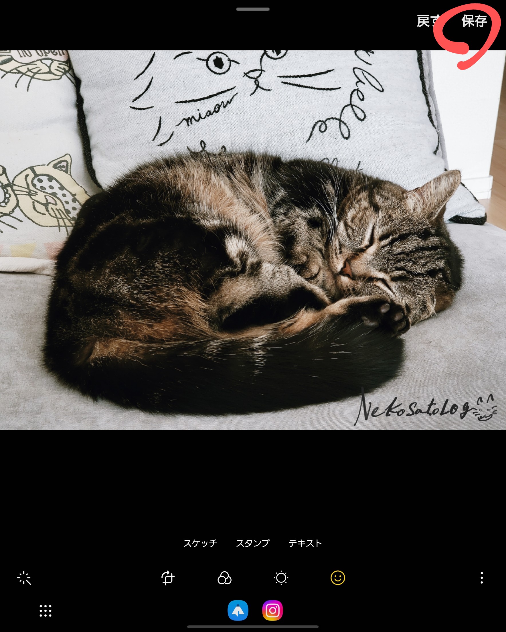 Galaxy純正アプリのギャラリーでウォーターマークを入れる方法 | NekosatoLog
